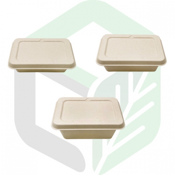 Compostable Rectangular To Go Box 650ml_SGT-650B