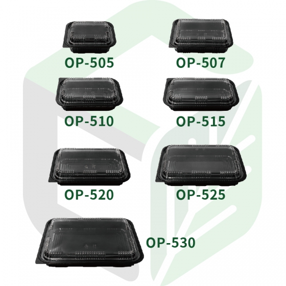 Non-Microwavable PS Rectangular Bento Boxes _ 1 Compartment