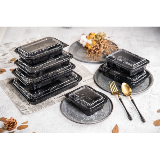 Non-Microwavable PS Rectangular Bento Boxes _ 1 Compartment